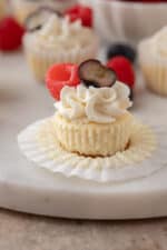 The Best Mini Cheesecakes with Nilla Wafers - Lifestyle of a Foodie