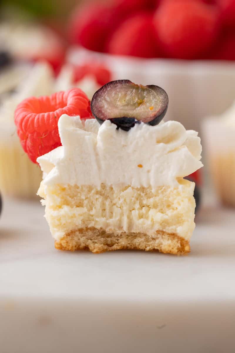 The Best Mini Cheesecakes with Nilla Wafers - Lifestyle of a Foodie
