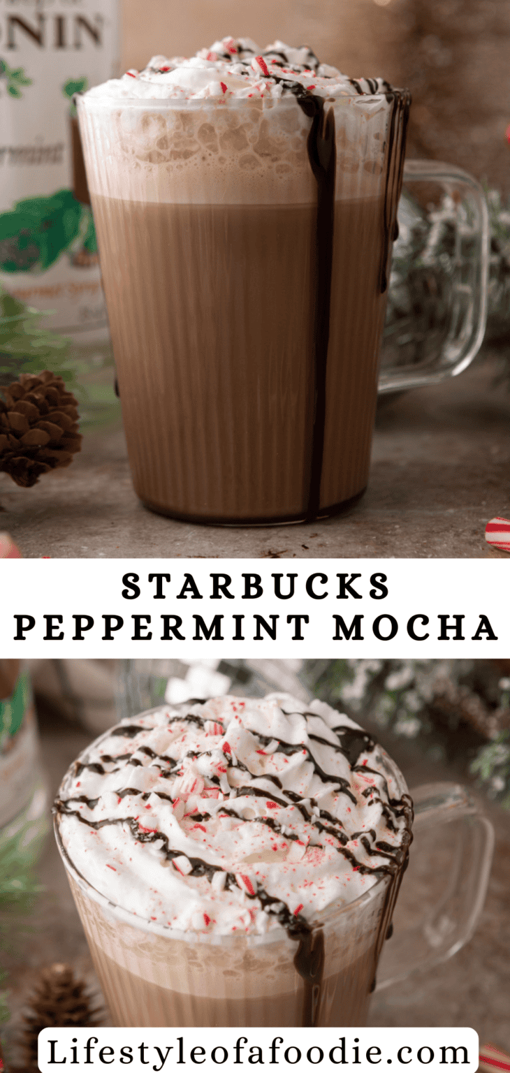 The Best Starbucks Peppermint Mocha Recipe - Lifestyle of a Foodie