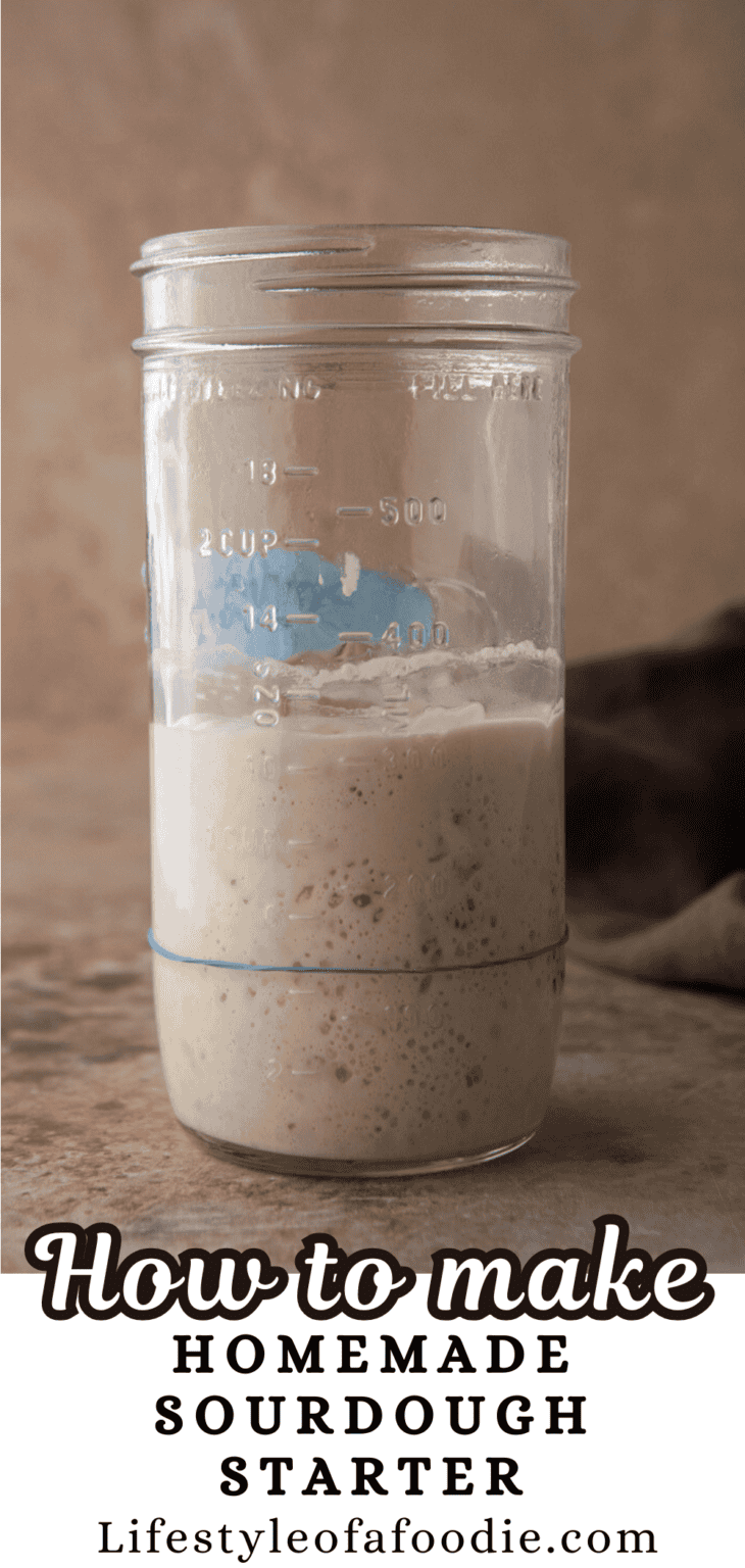 Simple Sourdough Starter Recipe for Beginners - Lifestyle of a Foodie