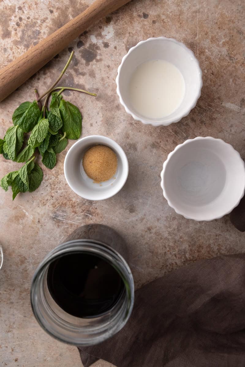 How to Make a Mint Mojito Iced Coffee Recipe (Phylz Copycat ...