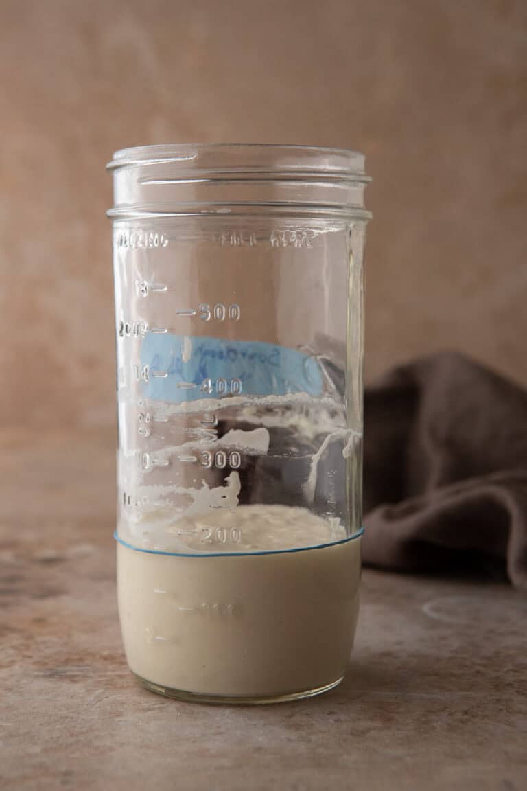 Small Batch Sourdough Bread Recipe: Everything You Need to Know ...