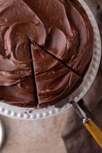The Best Sourdough Discard Chocolate Cake Recipe - Lifestyle of a Foodie
