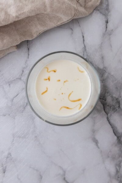 Easy Cookie Butter Latte Recipe (Better Than Starbucks!)