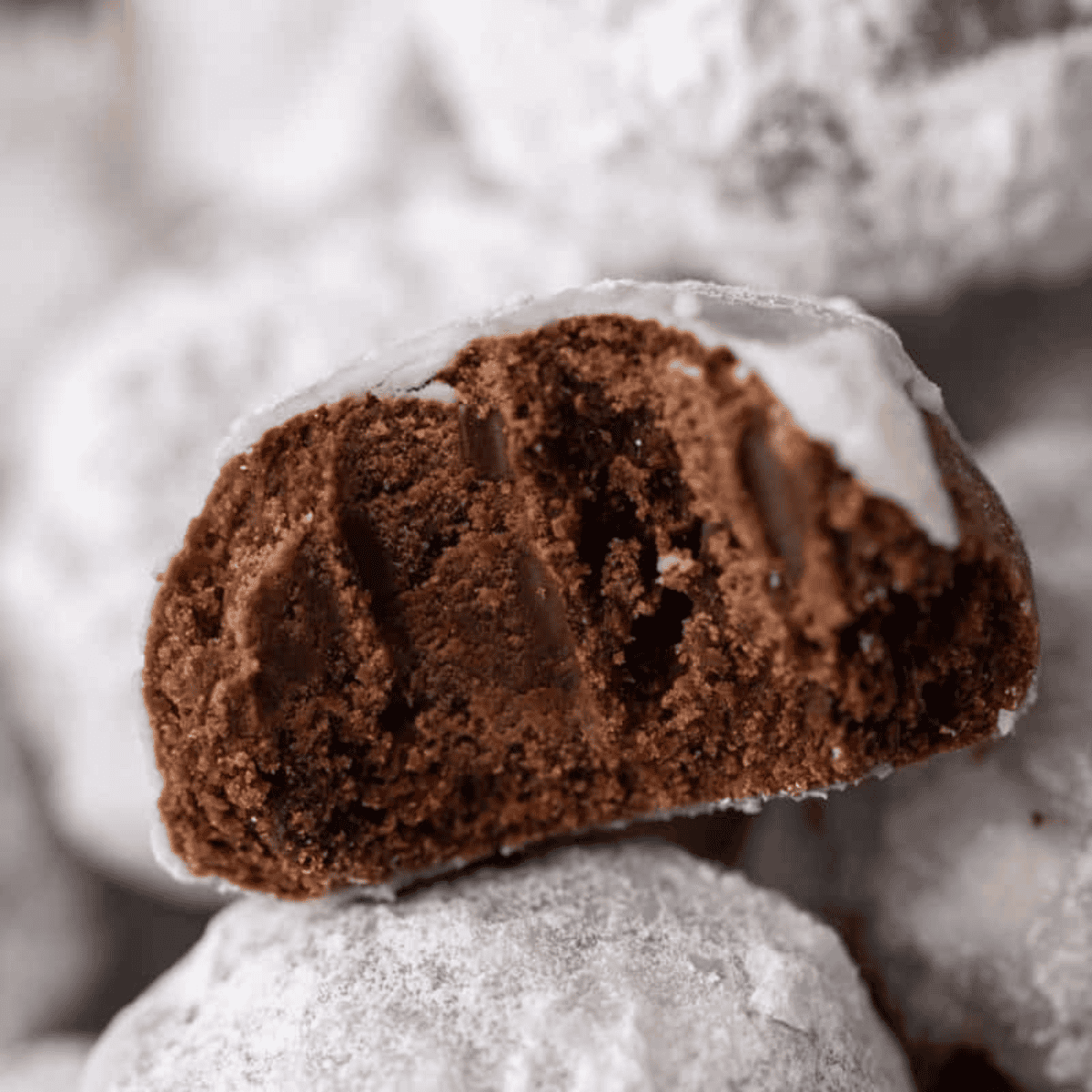 Chocolate Snowball Cookies (Rich, Soft & Chocolatey) - Lifestyle of a Foodie
